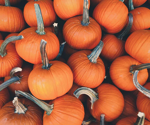 The Spooky Magic of a Tailor: How They Make Halloween Extra Special ...